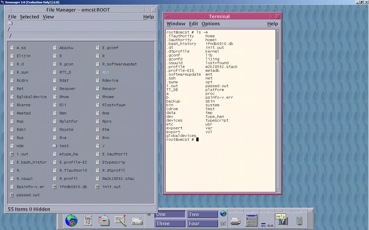 Corrupt Icons in CDE File Manager using Xmanager2.0 and 3.0 [3] - Forum ...