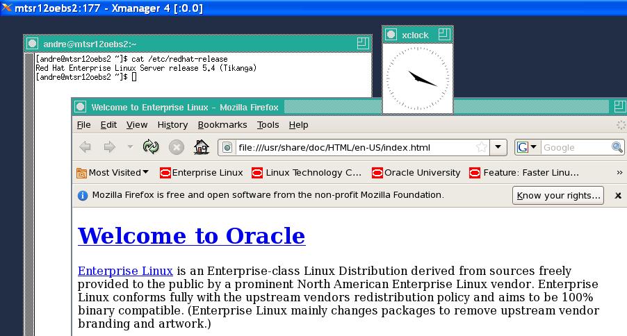 Bad Linux interface displaying [1] - Forum Archive - NetSarang Computer