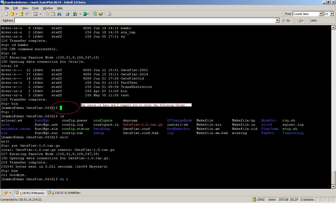 Suggest: refresh view after maximize window [1] - Forum Archive - NetSarang Computer