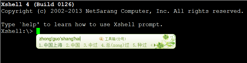 Problem on Chinese input [6] - Forum Archive - NetSarang Computer