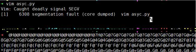 VIM: caught deadly signal SEGV [1] - Forum Archive - NetSarang Computer